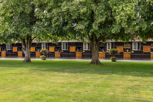 UK - Newmarket Office | Godolphin