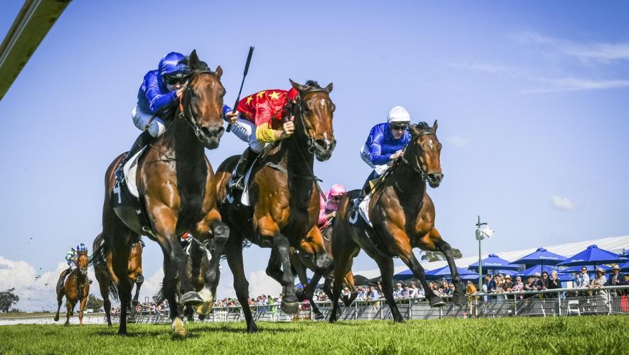 Head trainer achieves milestone with Team Godolphin with three Stakes ...