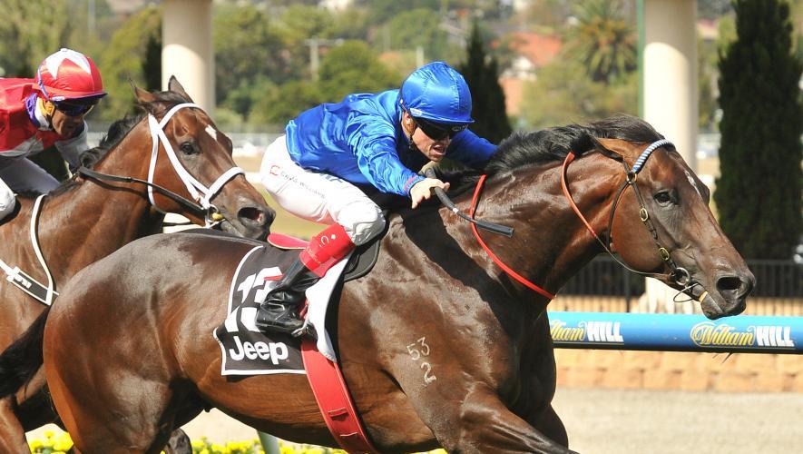Holler comes “home” to the Valley | Godolphin