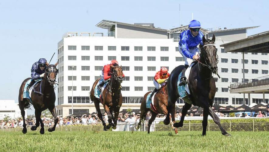 Brilliant win gives Kementari a second Guineas chance | Godolphin