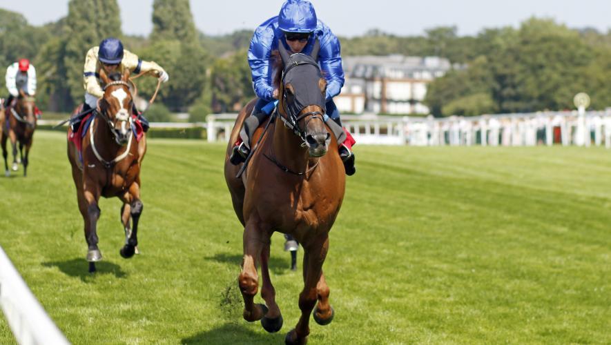 Two miles no problem for Yibir in Listed Marathon | Godolphin