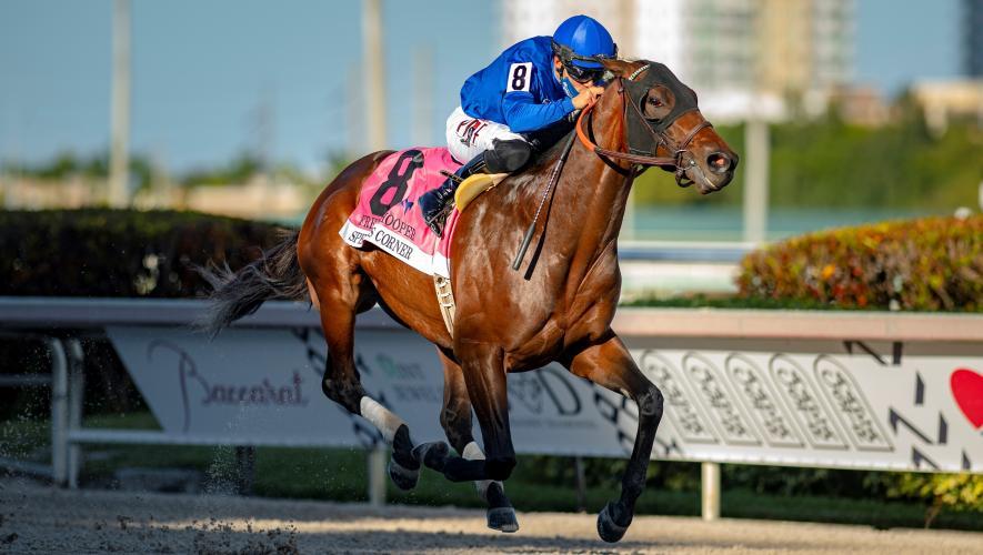Silver Knott takes supporting role in G1 Hollywood Derby | Godolphin