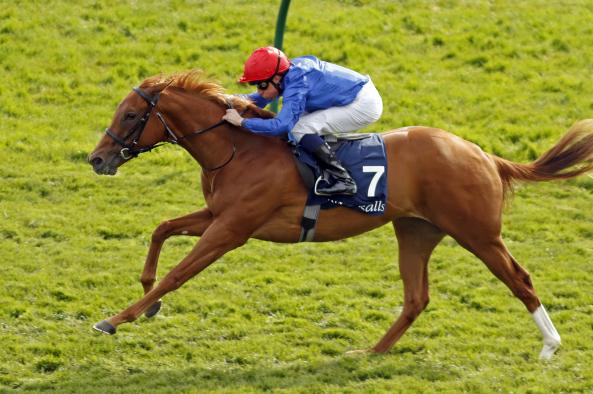 Welcome to Godolphin | Godolphin