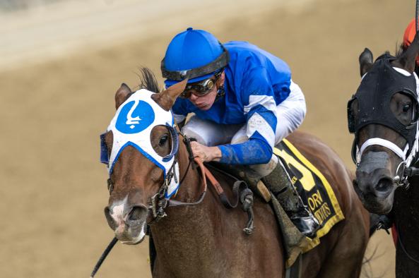 Welcome to Godolphin | Godolphin