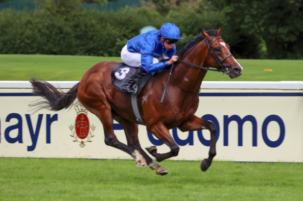 Welcome to Godolphin | Godolphin