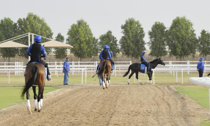 About Godolphin | Godolphin